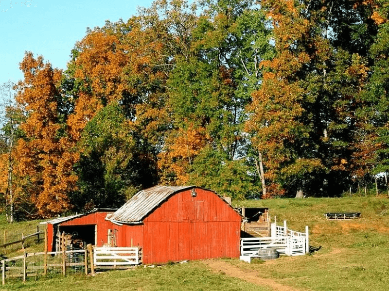 Visit - pastoralpastures.com